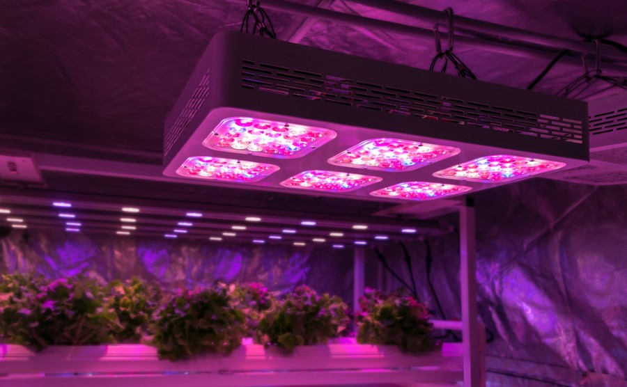 red-led-grow-lights | Garden Power Tools